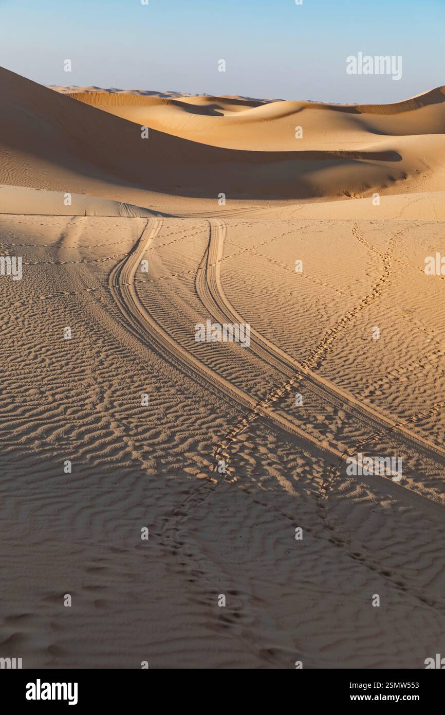 Desert landscape with tire tracks and trails Stock Photo - Alamy