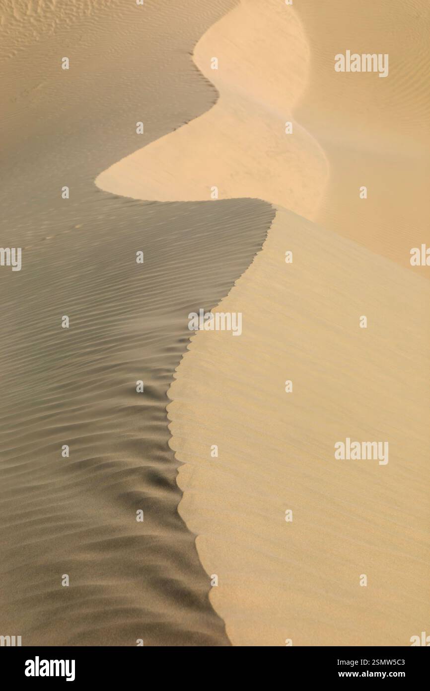 Desert landscape with dunes, United Arab Emirates Stock Photo - Alamy