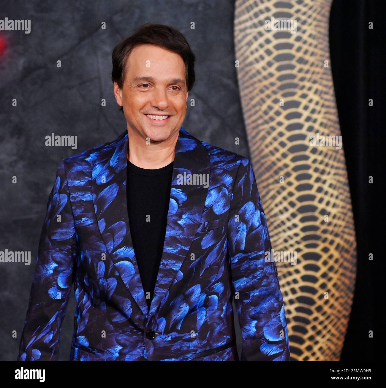 Ralph Macchio attends the season finale premiere of Netflix's Cobra Kai ...