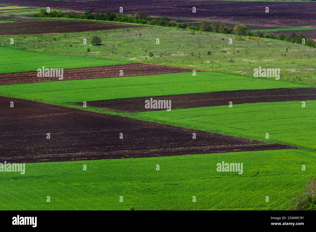 Agricultural land displays contrasting green and brown fields ...