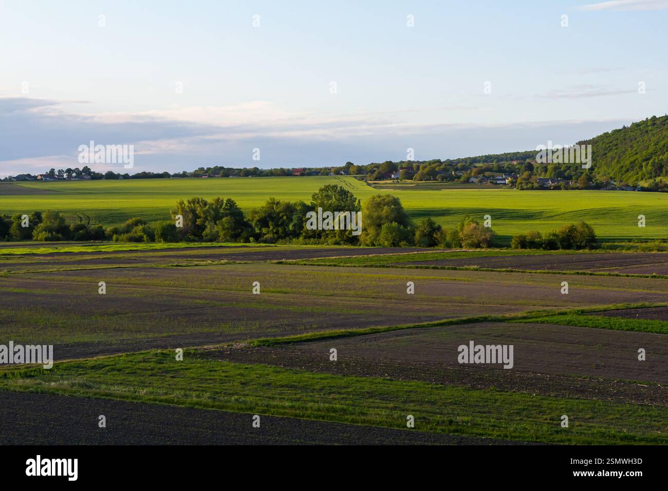 Lush green fields and patches of trees create a serene rural landscape ...