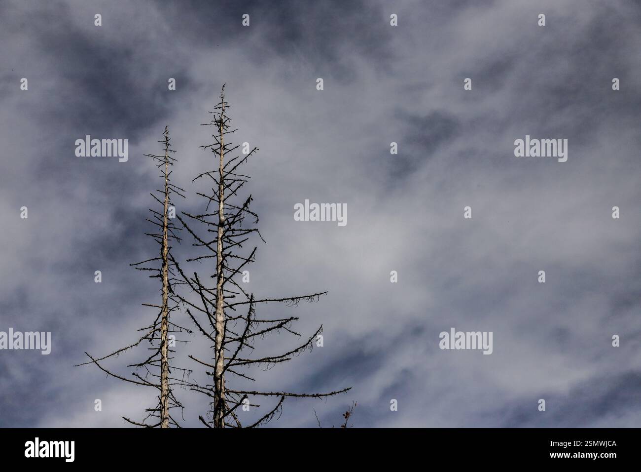 Stretch horizons hi-res stock photography and images - Alamy