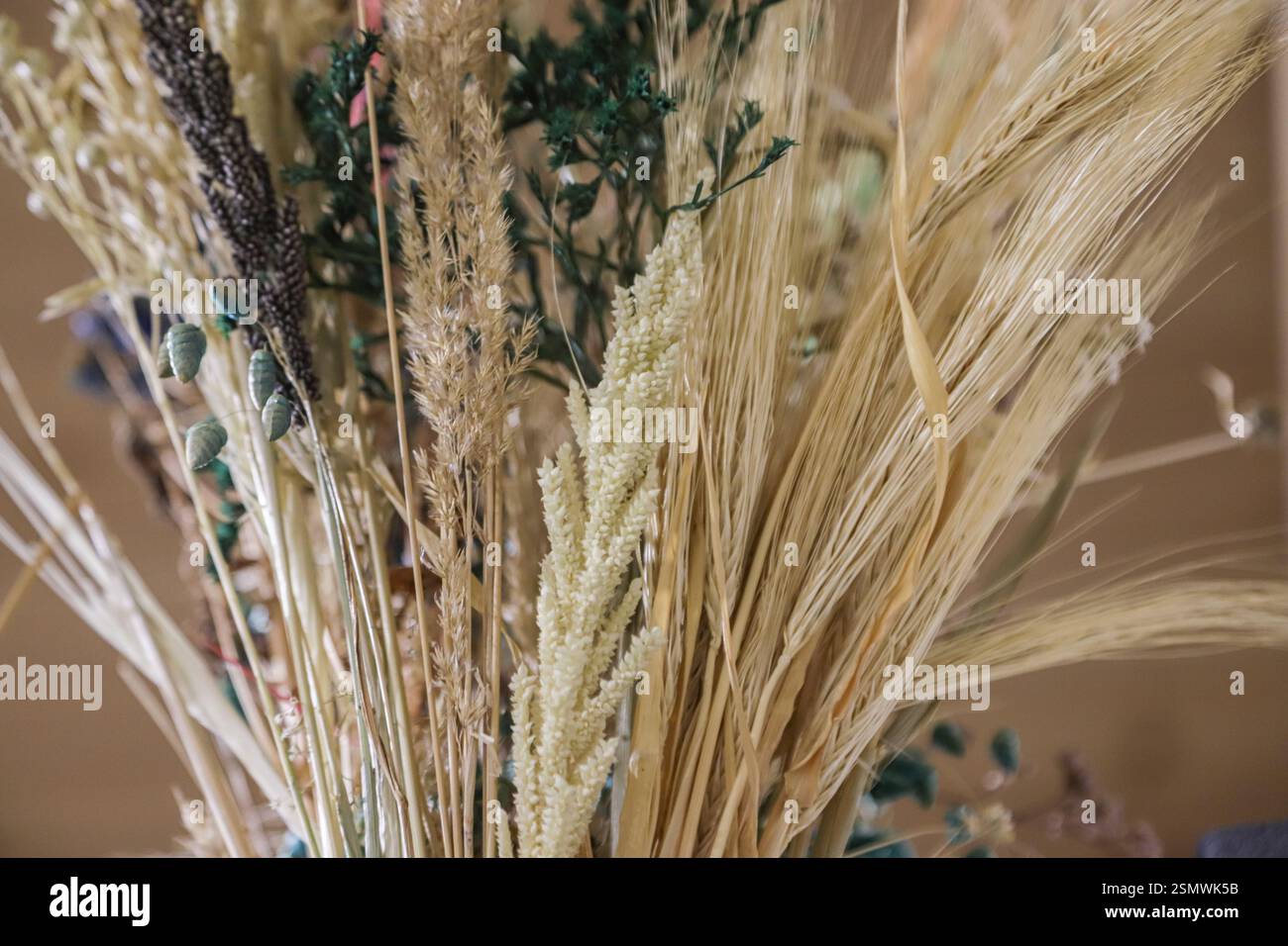 A beautiful arrangement of dried flowers and grasses captures the ...