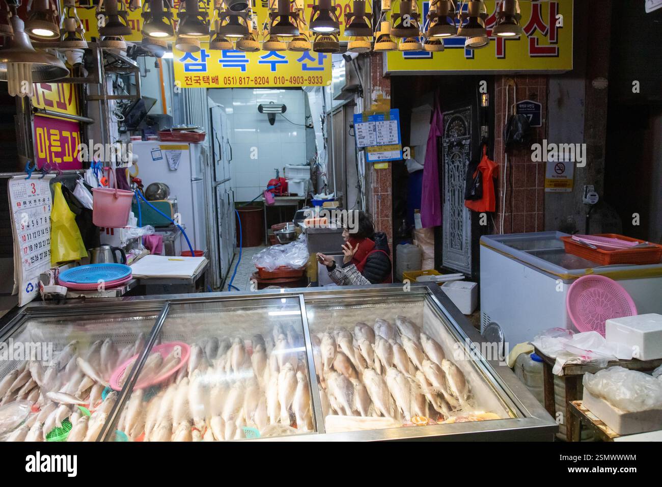 Busan, South Korea - 24-03-2024: Famous Jagalchi Fish Market, vendors ...
