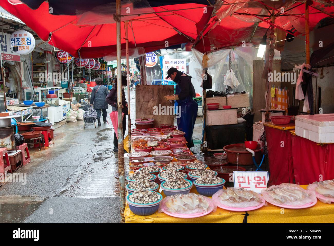 Busan, South Korea - 24-03-2024: Famous Jagalchi Fish Market, vendors ...