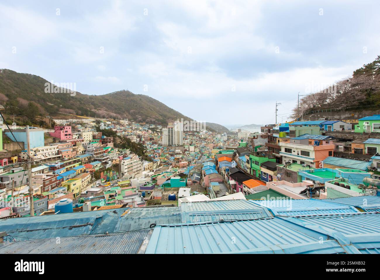 Busan, South Korea - 24-03-2024:Gamcheon Culture Village, a famous ...