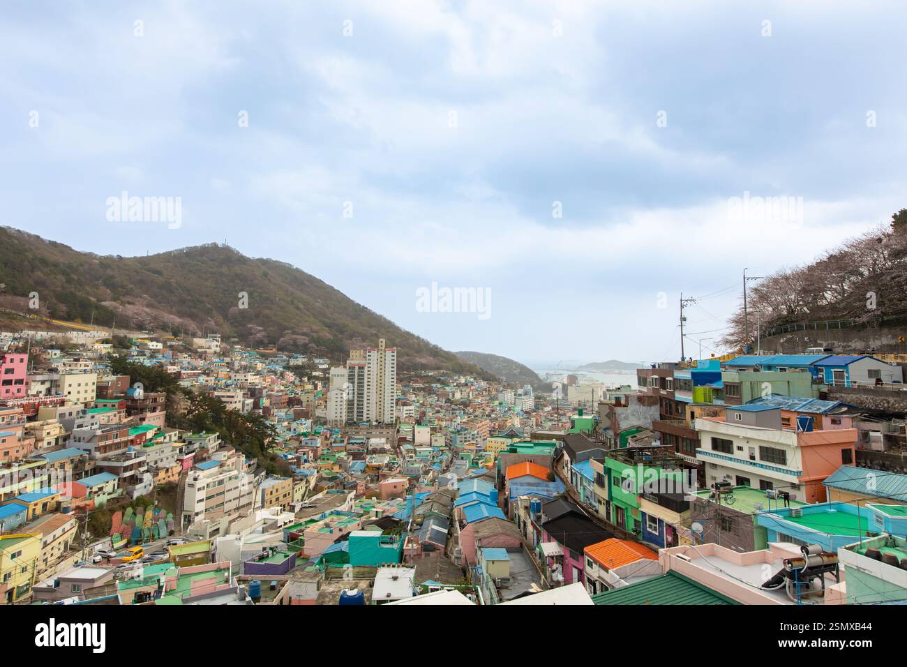 Busan, South Korea - 24-03-2024:Gamcheon Culture Village, a famous ...