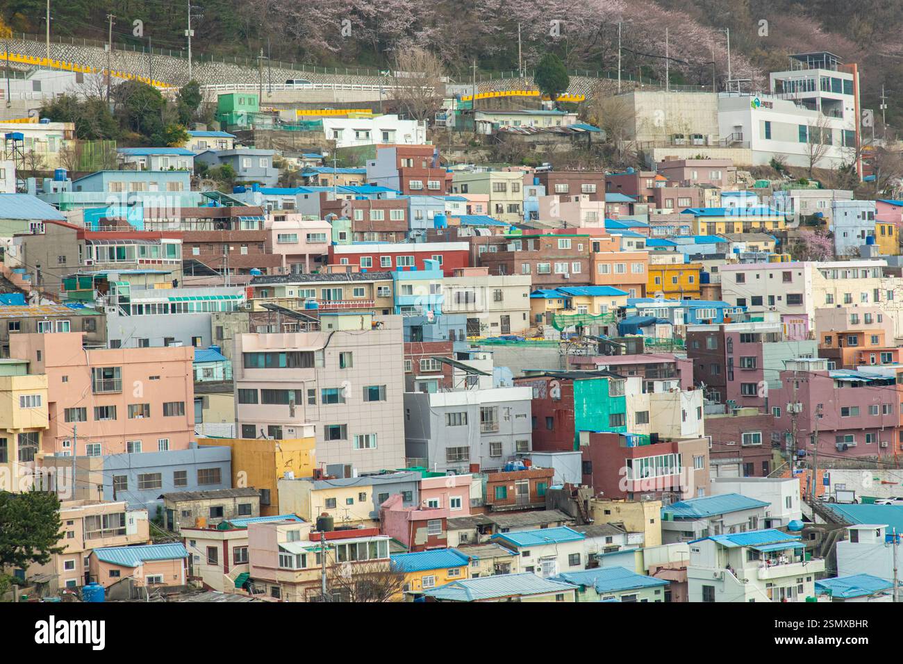 Busan, South Korea - 24-03-2024:Gamcheon Culture Village, a famous ...