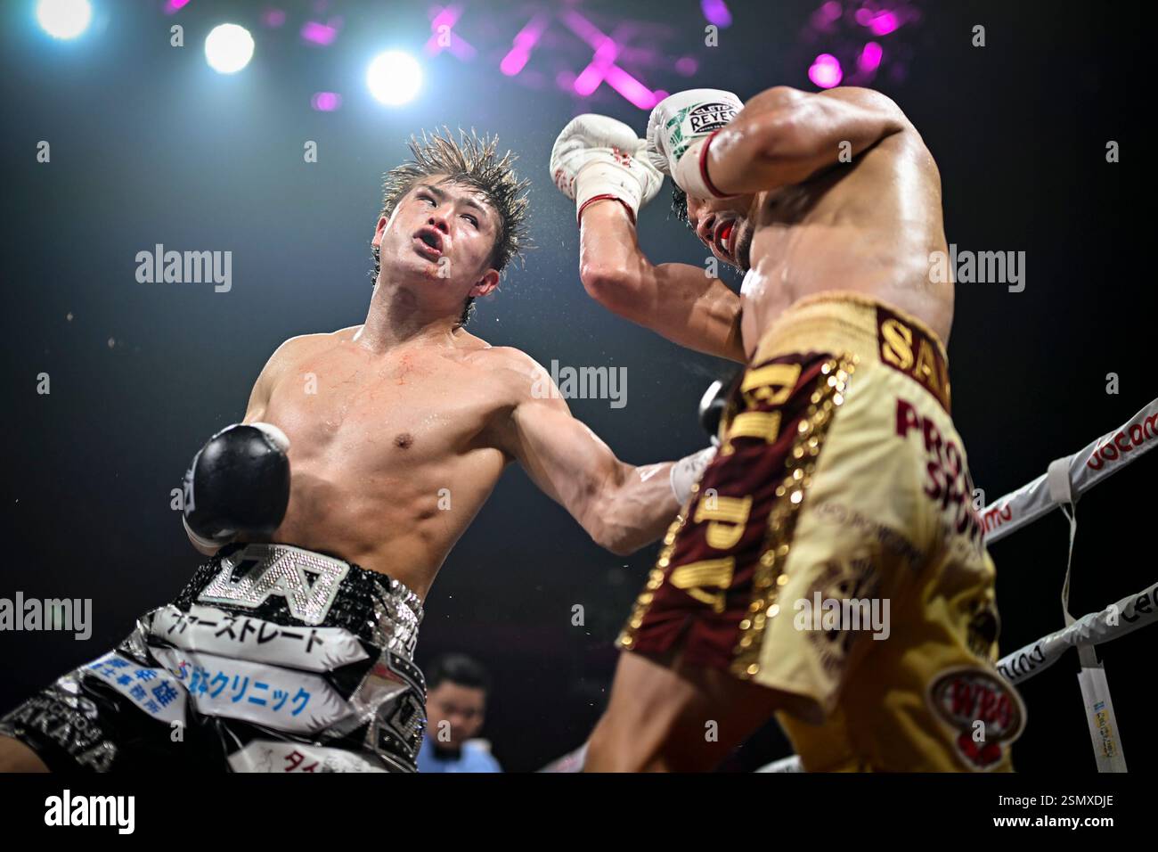 Tokyo, Japan. 24th Jan, 2025. Champion Jin Sasaki (black gloves) hits challenger Shoki Sakai ...