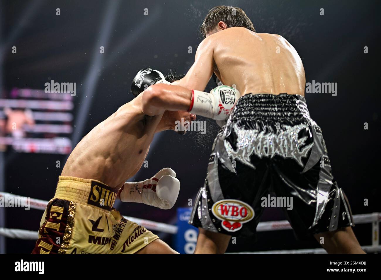 Tokyo, Japan. 24th Jan, 2025. Challenger Shoki Sakai (white gloves) hits champion Jin Sasaki ...