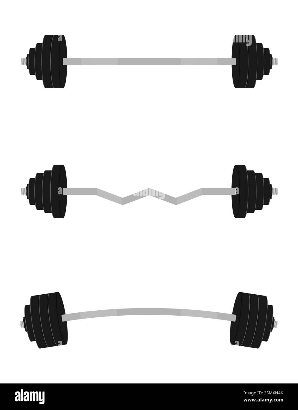 metal barbell for muscle building in gym flat style vector illustration ...