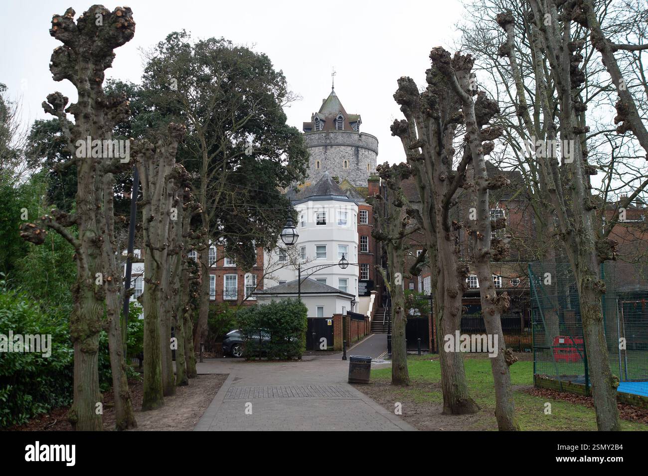 Windsor, Berkshire, UK. 12th February, 2025. Recent tree lopping on a ...