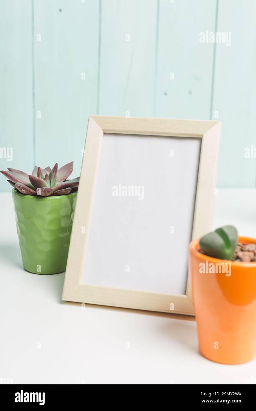 Minimalistic tabletop display featuring empty frame and potted ...