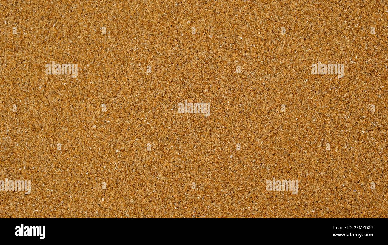 Golden sand background with fine texture of desert or beach. Granules ...