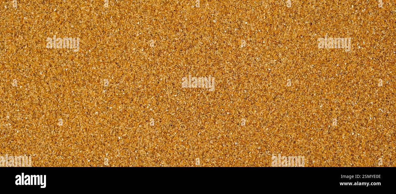 Golden sand background with fine texture of desert or beach. Granules ...