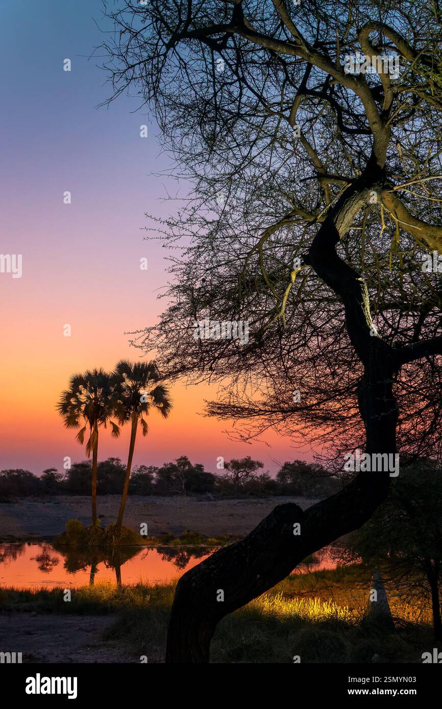 Sunset at a waterhole, Namibia landscape, Africa Stock Photo - Alamy