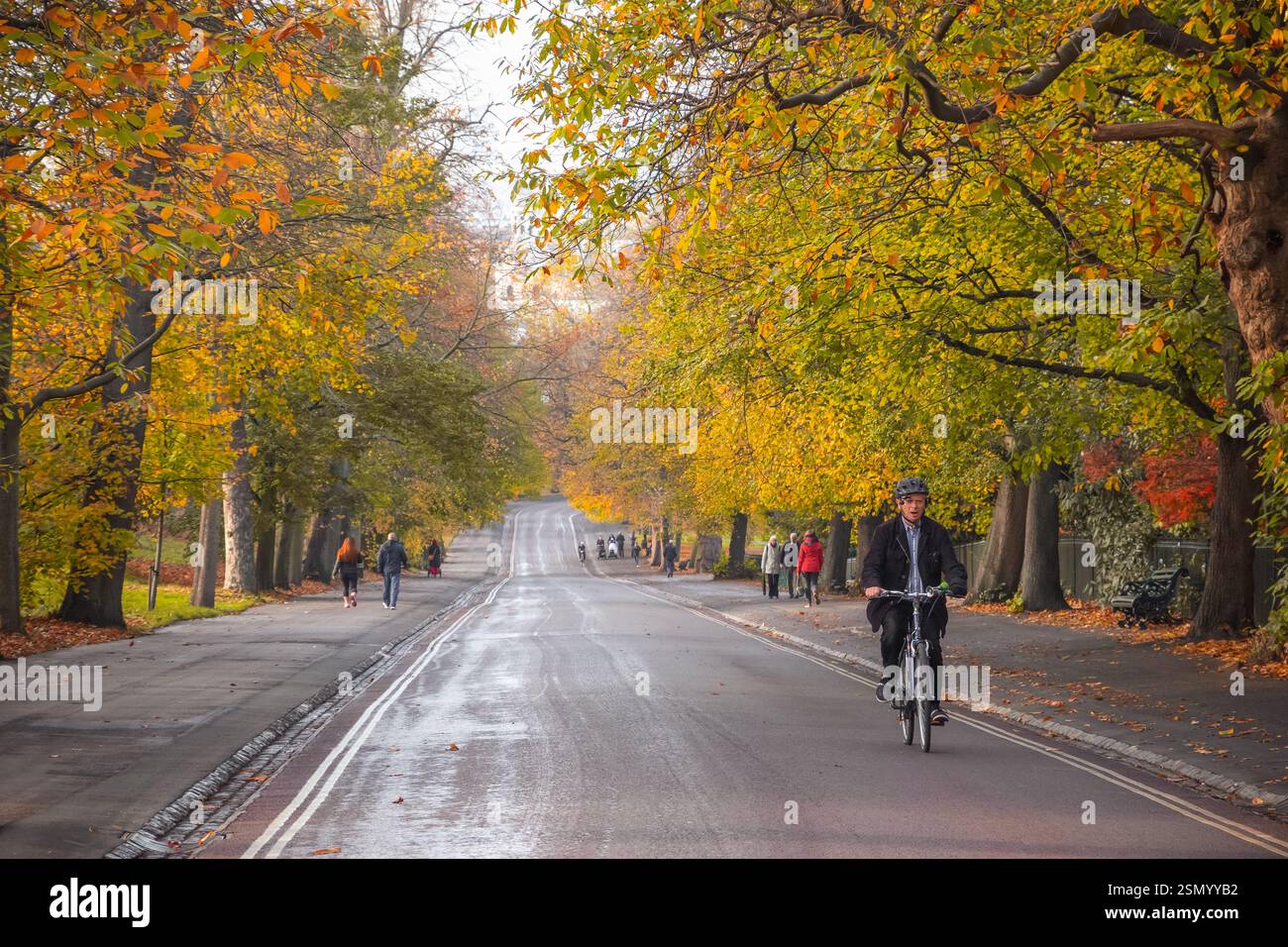 London, UK - 6 October, 2024 - Man riding bike on a treelined road in ...