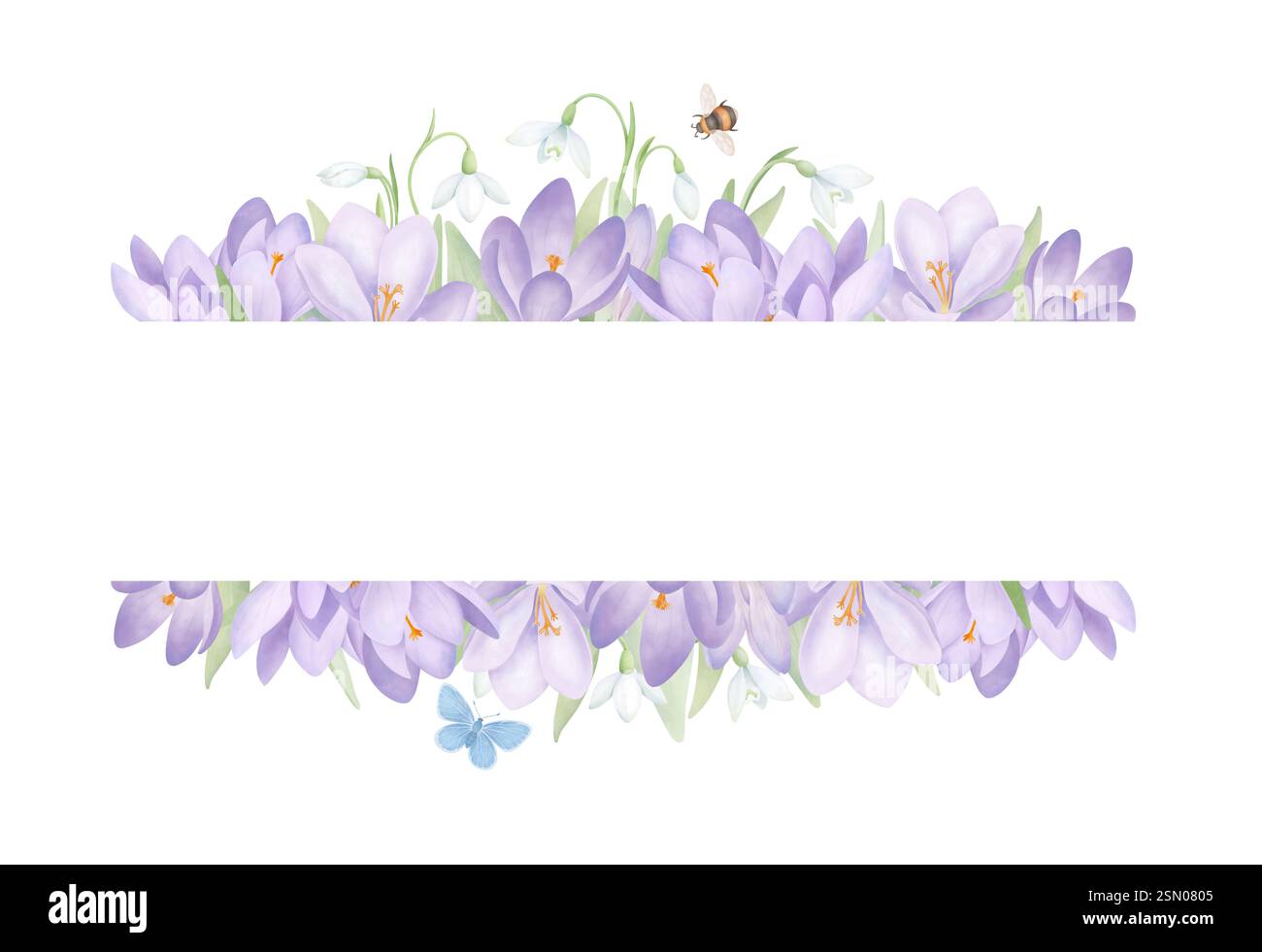 Snowdrops and purple crocuses horizontal frame. Watercolor floral ...