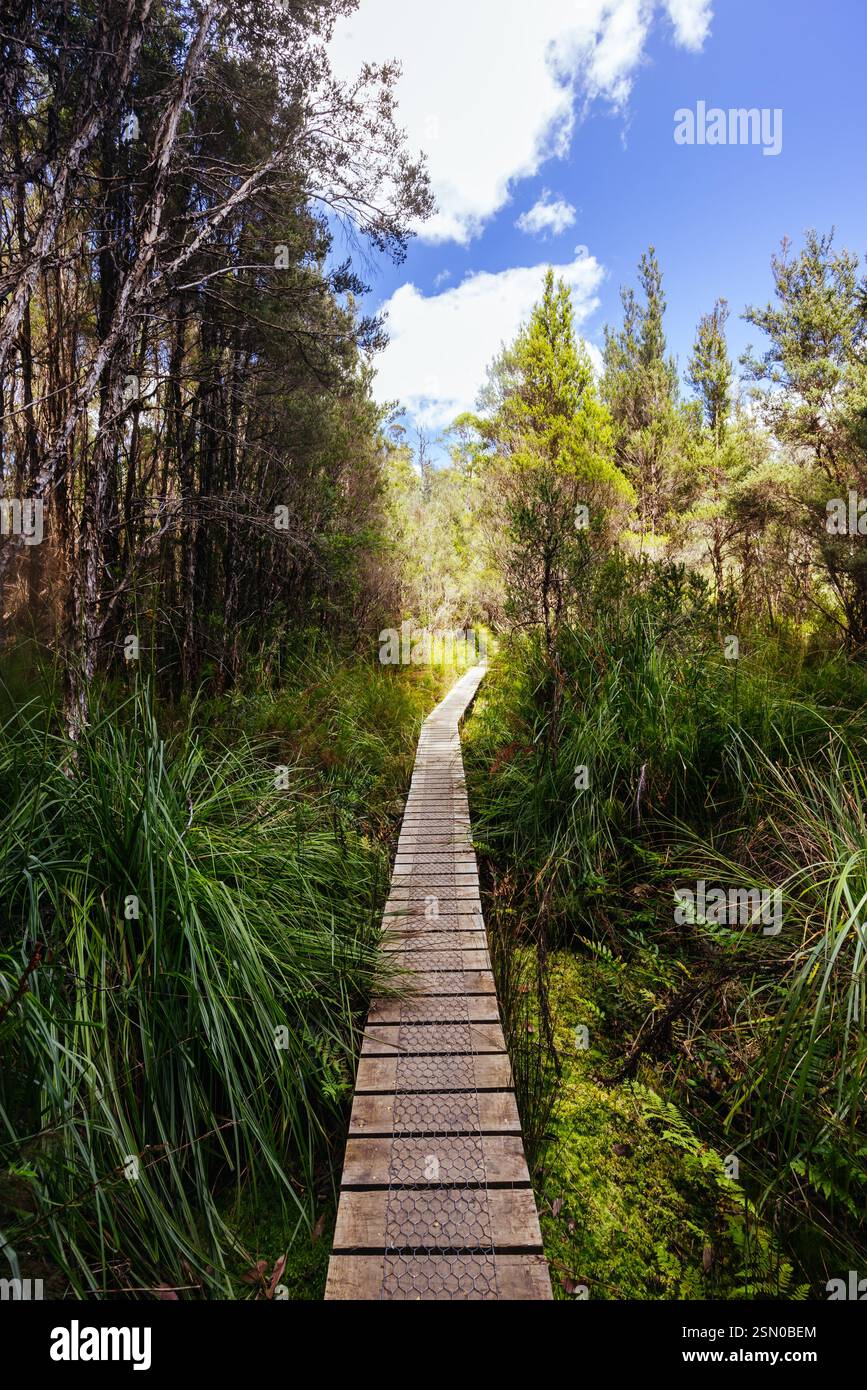 Frenchmans Cap Suspended Bridge in Tasmania Australia Stock Photo - Alamy