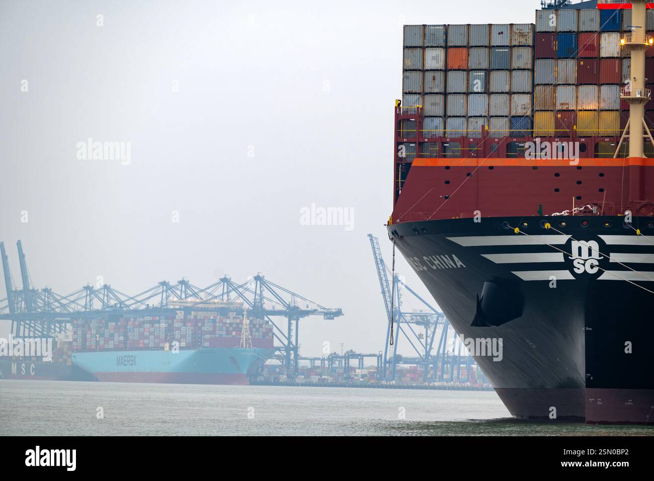 MSC container ship port of Felixstowe Stock Photo - Alamy