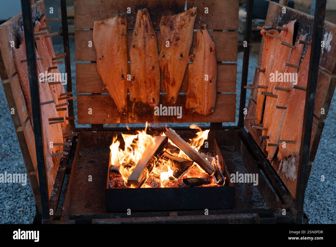 Smoked salmon fish fillet pinned on wooden plank board grilled on open ...