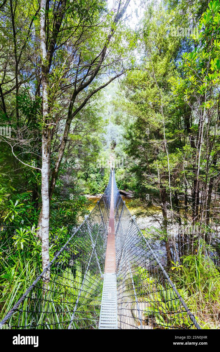 Frenchmans Cap Suspended Bridge in Tasmania Australia Stock Photo - Alamy