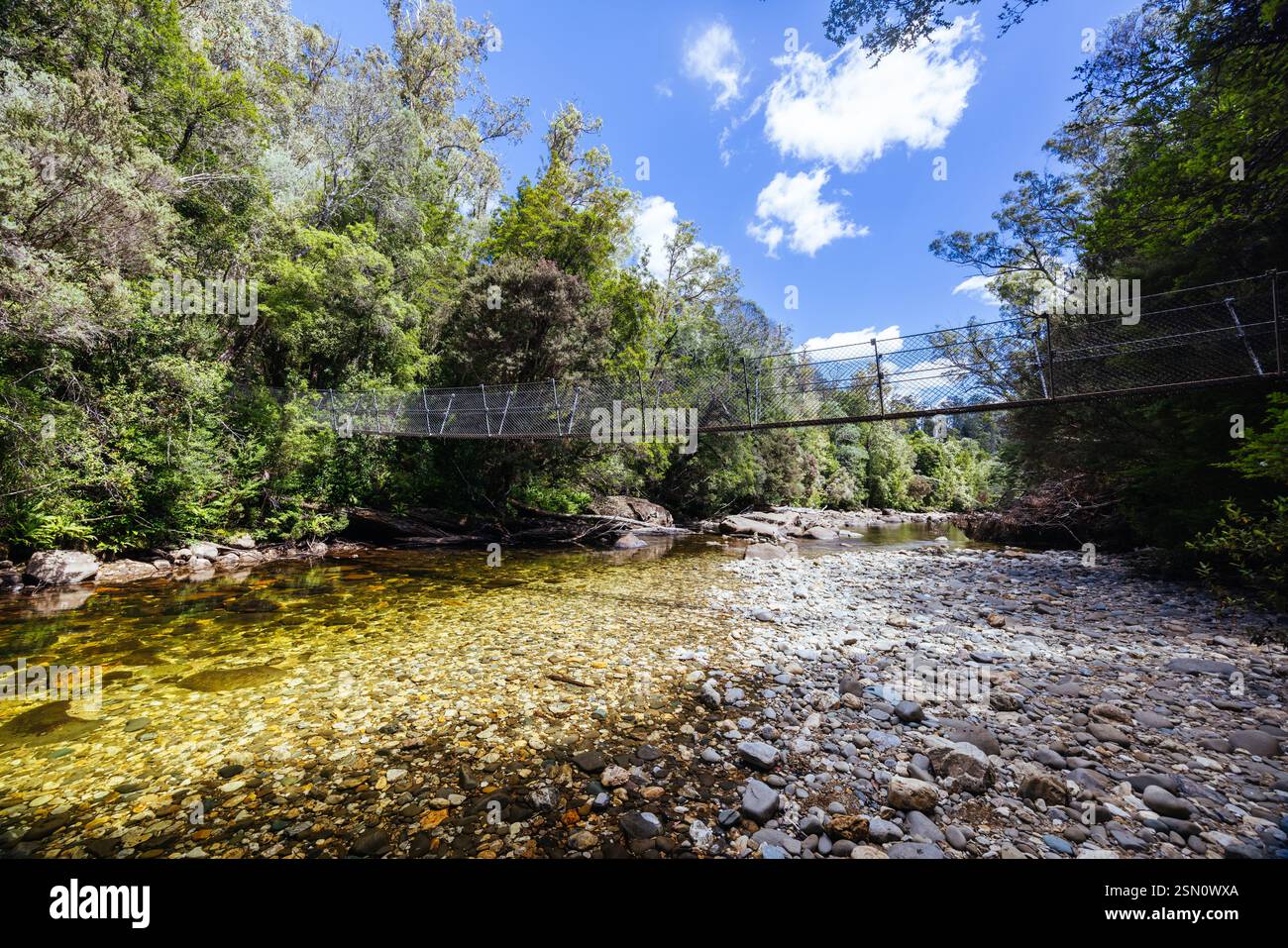 Frenchmans Cap Suspended Bridge in Tasmania Australia Stock Photo - Alamy