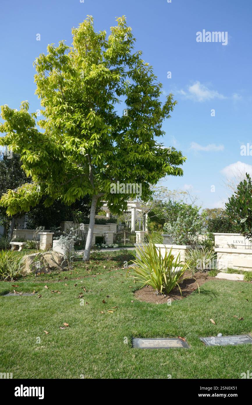 Jon landau titanic hi-res stock photography and images - Alamy