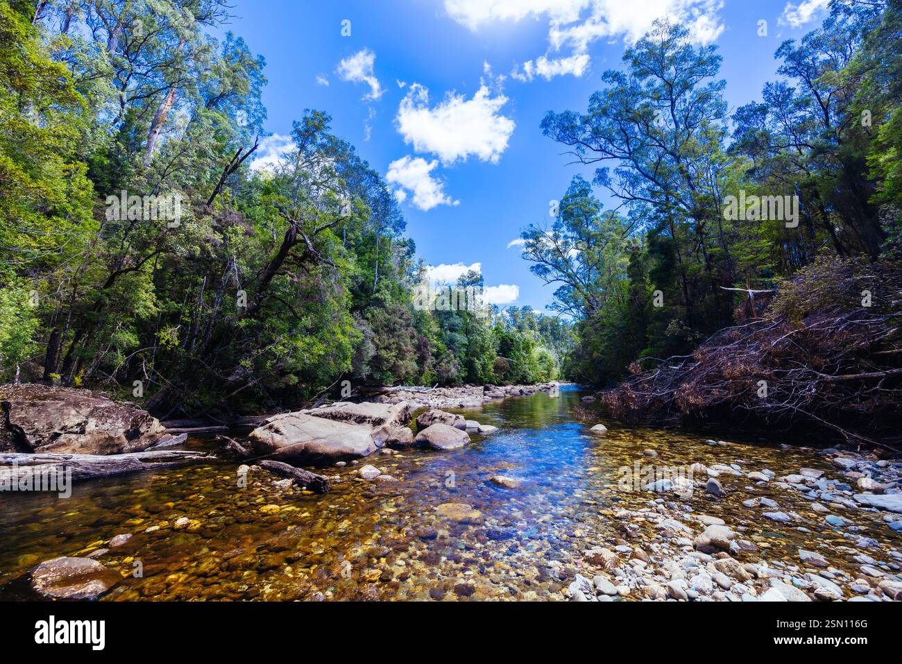 Frenchmans cap suspended bridge hi-res stock photography and images - Alamy