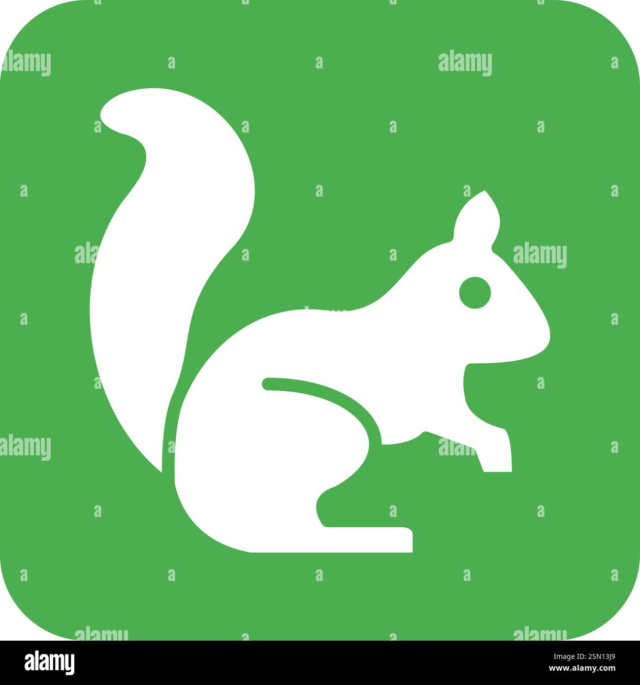 Squirrel Vector Icon Design Illustration Stock Vector Image & Art - Alamy
