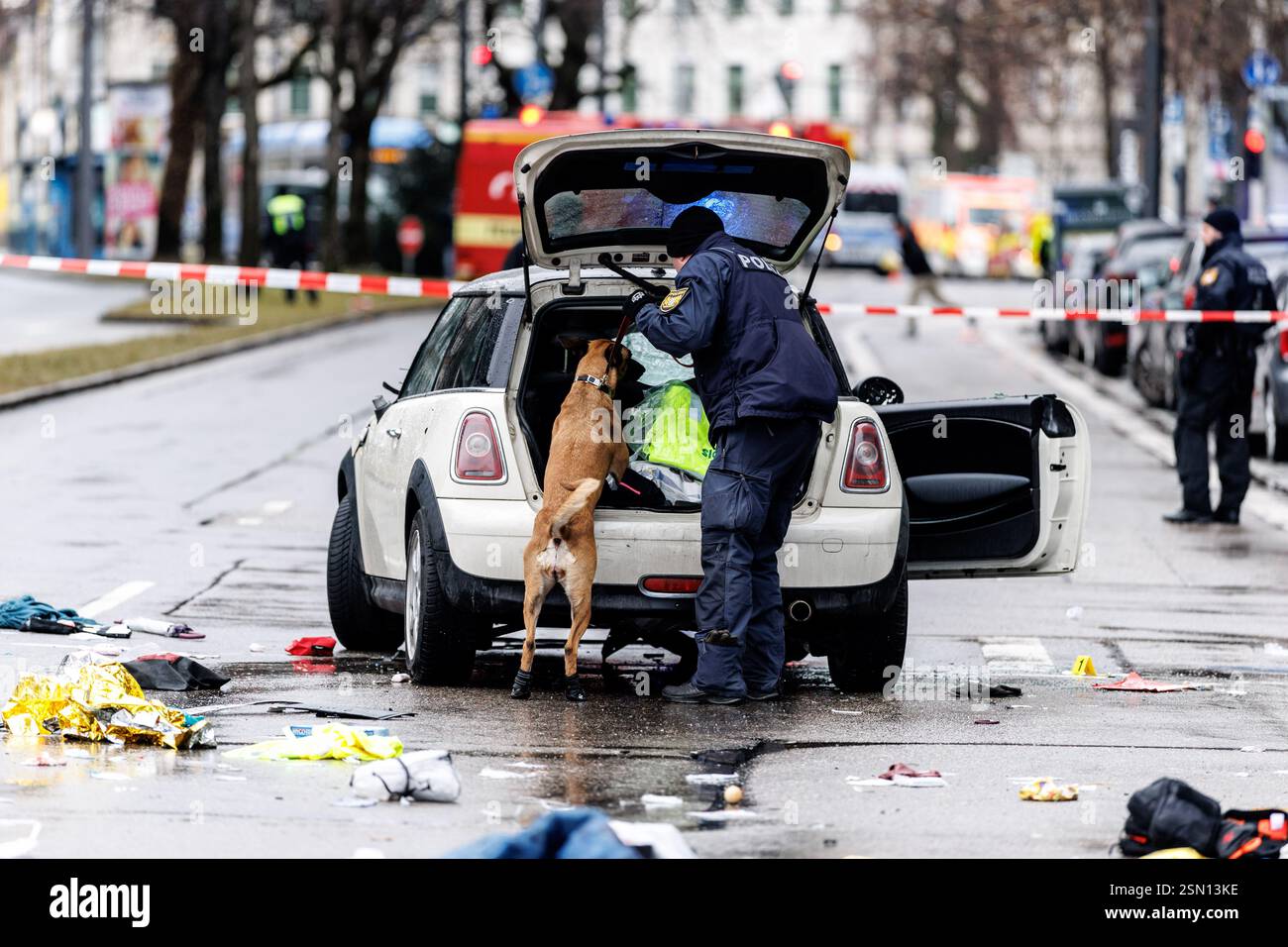dpatop - 13 February 2025, Bavaria, Munich: Police use a sniffer dog to ...