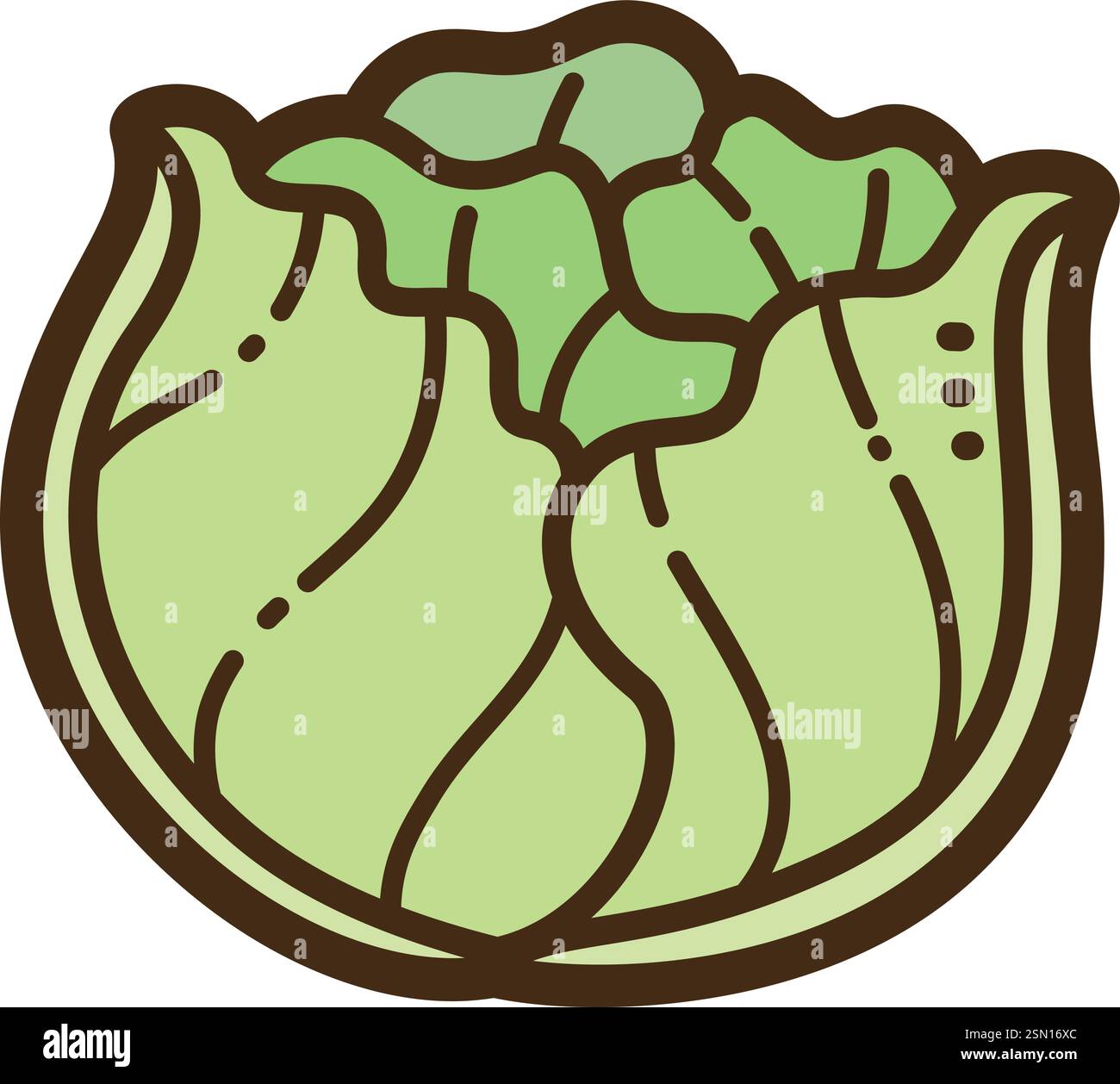 Cabbage vector doodle illustration and graphic. Part of vegetables ...