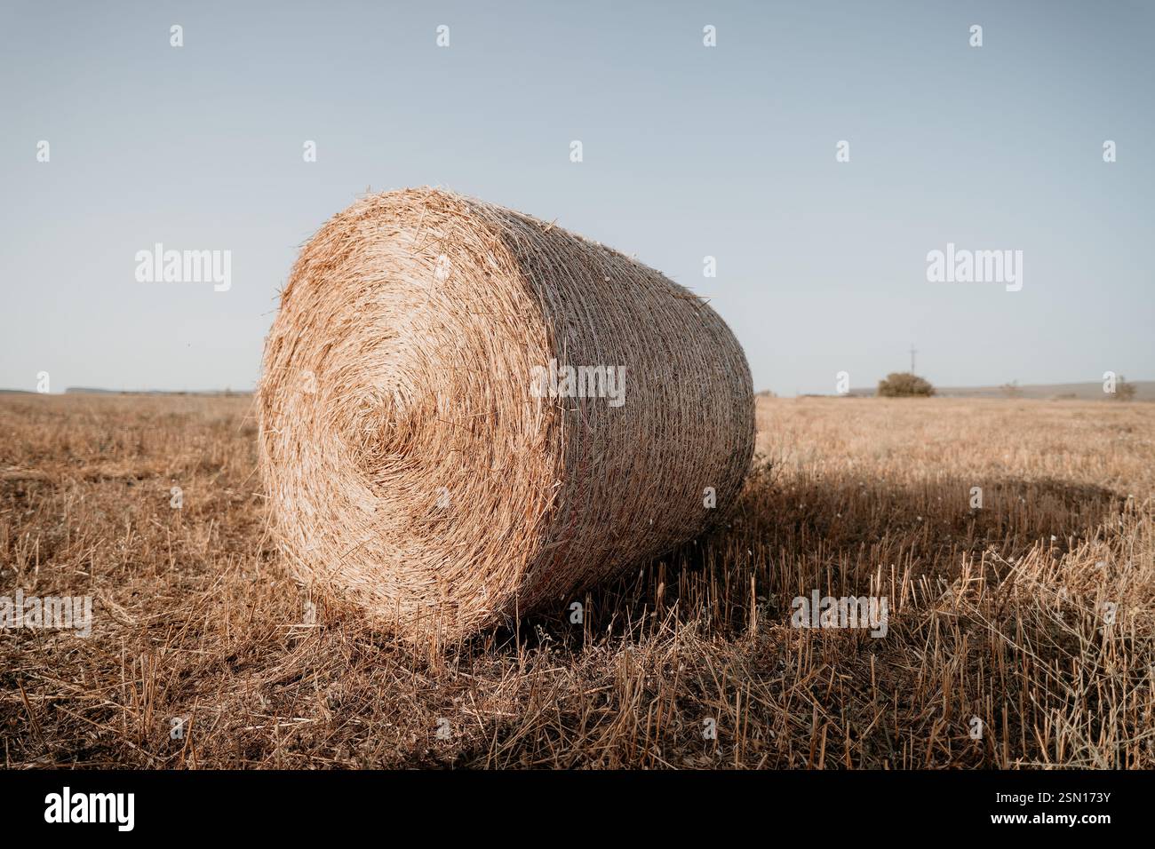 A single round hay bale lies on a recently harvested field of wheat ...