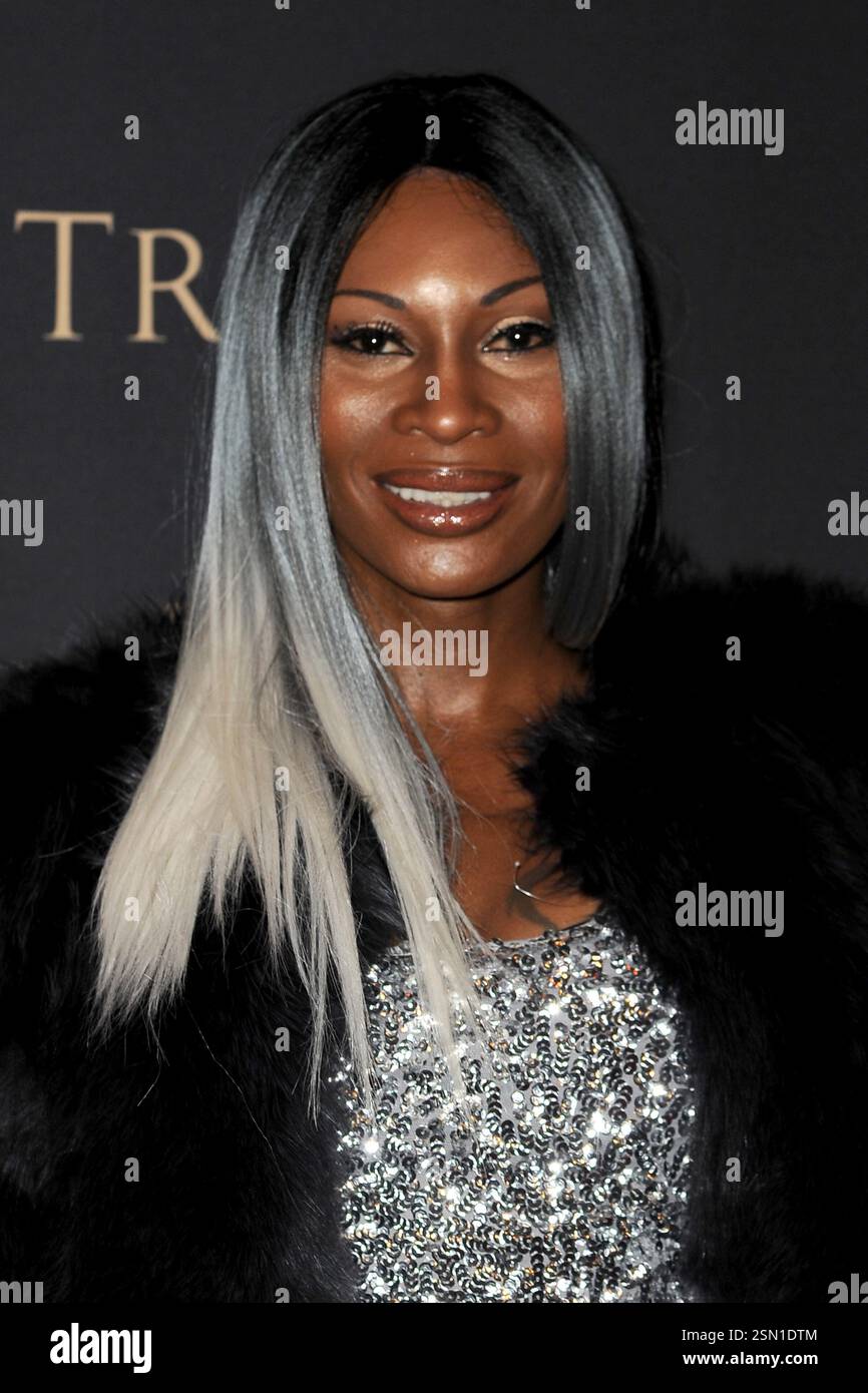 The FX All-Star Party on March 15, 2018 in New York City Stock Photo ...