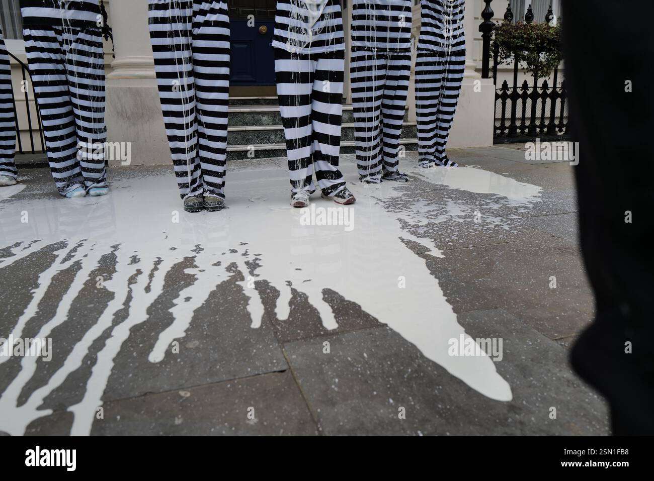 Activists from PETA stage a dramatic protest outside the Royal Thai ...