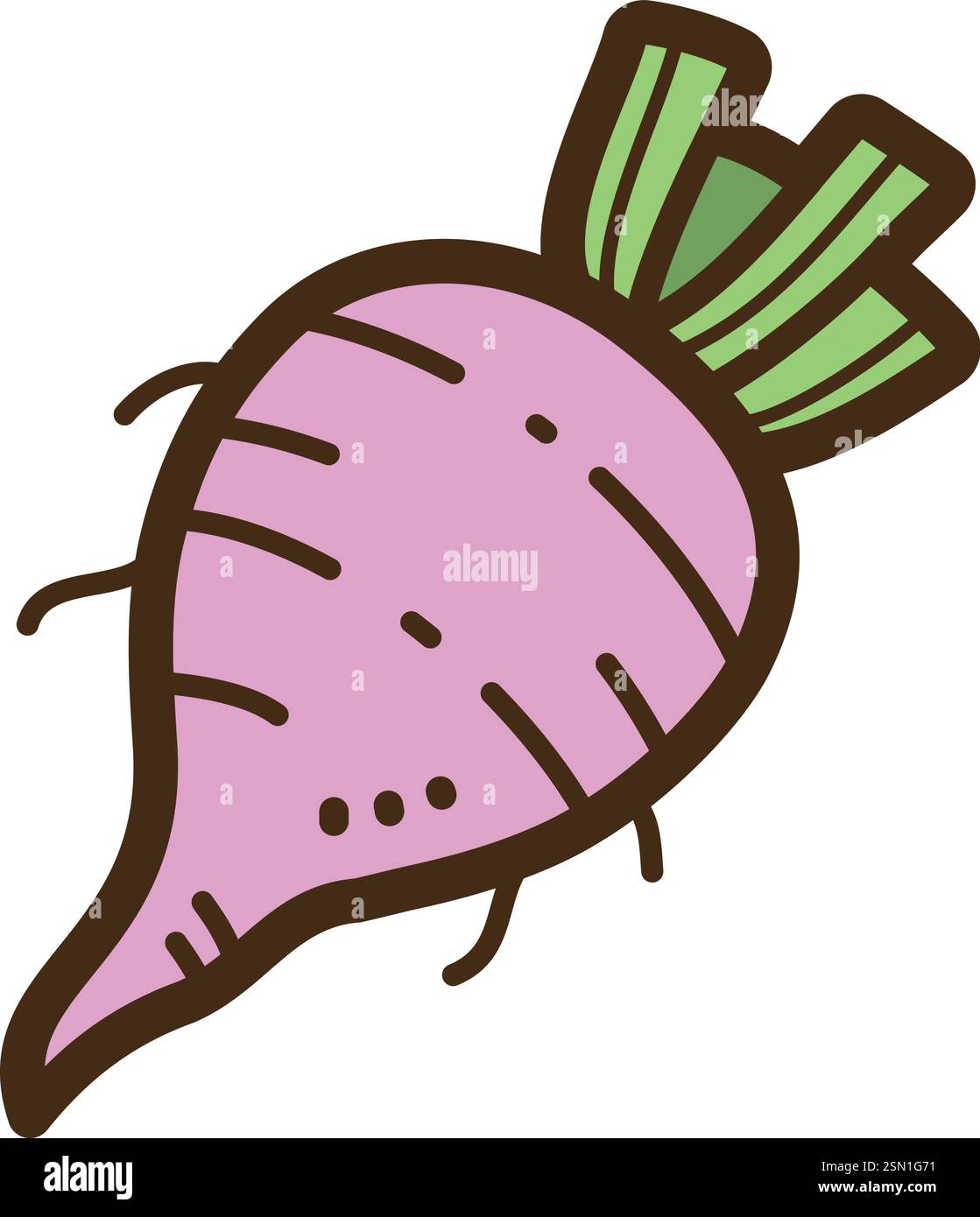 Sugar beet vector doodle illustration and graphic. Part of vegetables ...