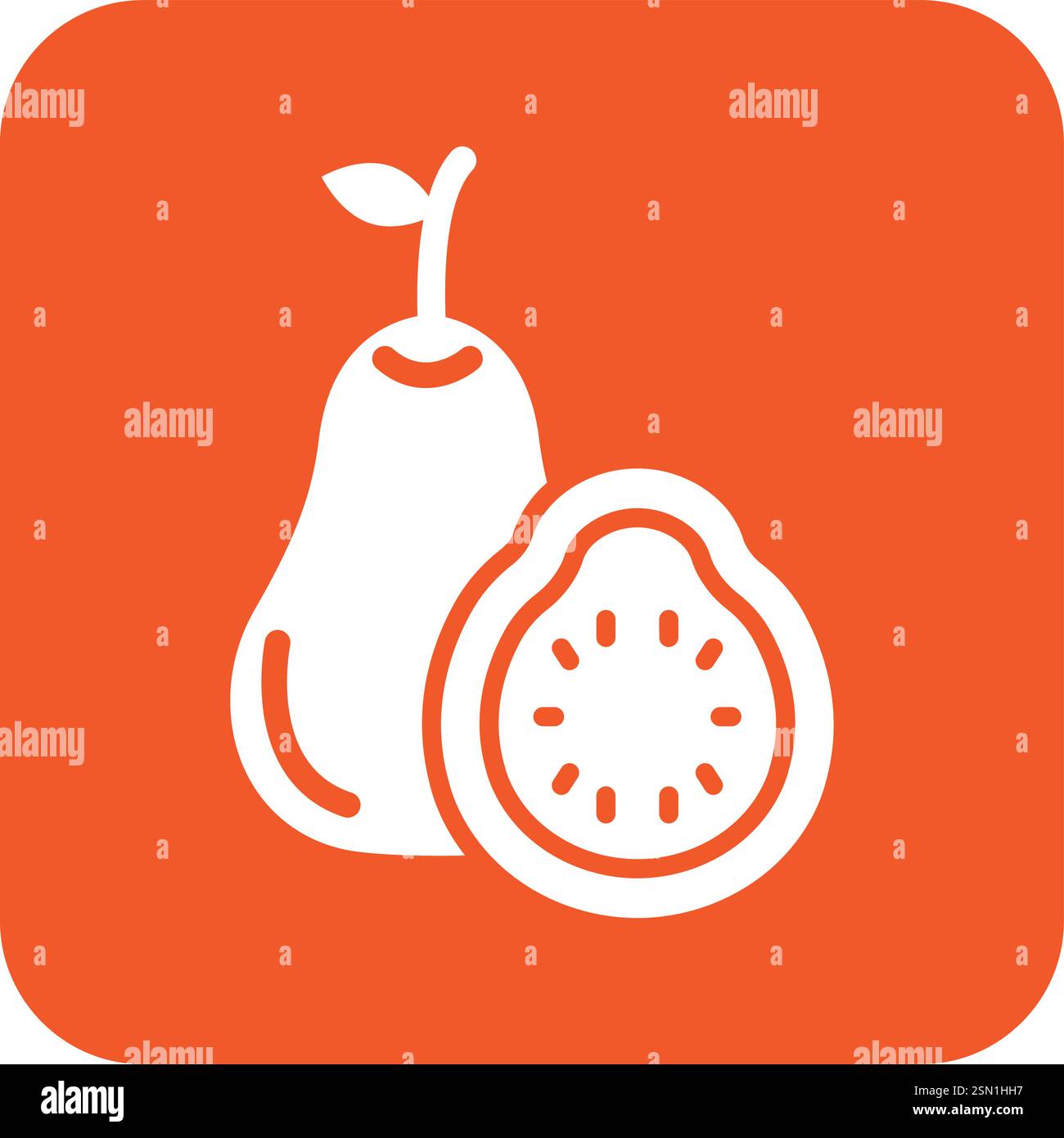 Guava Vector Icon Design Illustration Stock Vector Image & Art - Alamy