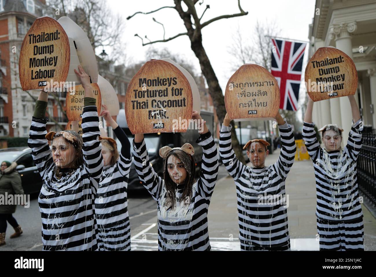 Activists from PETA stage a dramatic protest outside the Royal Thai ...