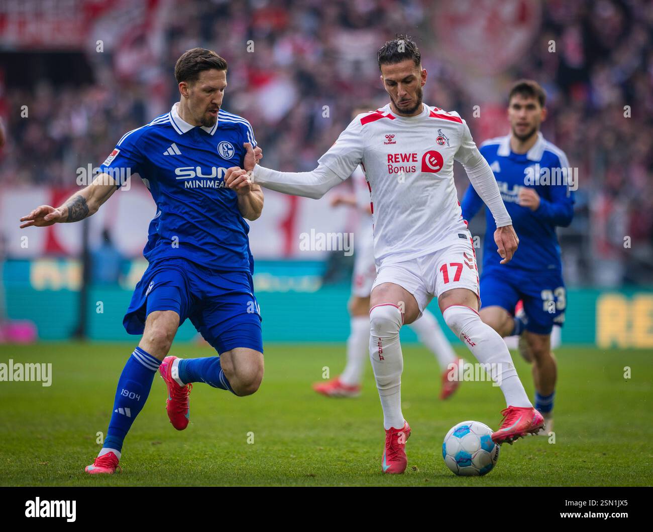 Köln, Germany. 09th Feb 2025. Janik Bachmann (S04) Leart Paqarada (Köln) 1. FC Köln - FC Schalke ...