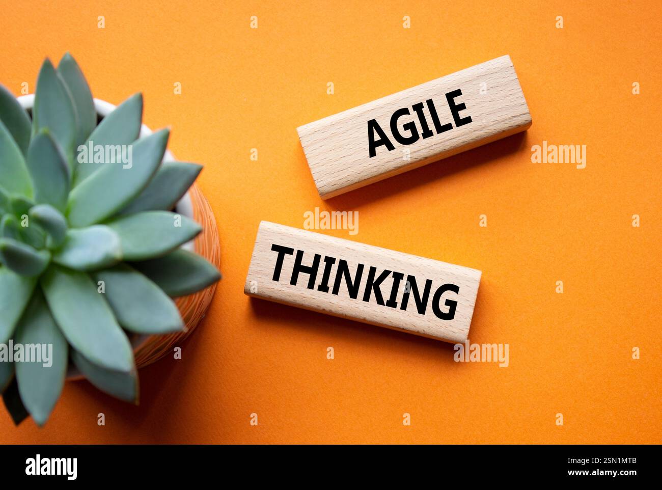 Agile Thinking symbol. Wooden blocks with words Agile Thinking ...