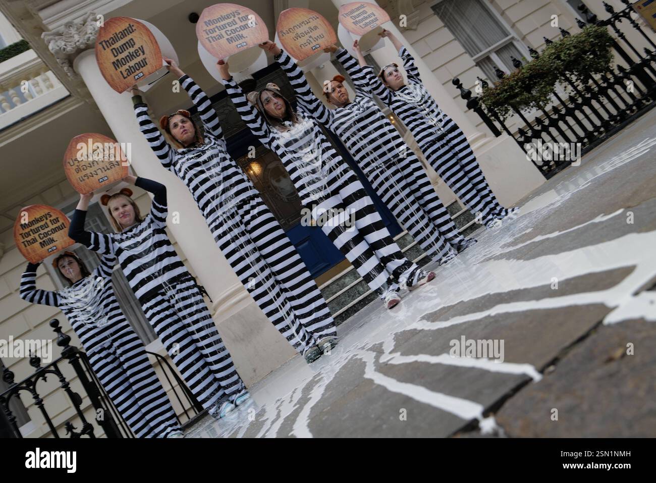 RECORD DATE NOT STATED PETA Monkey Protest in London Activists from ...