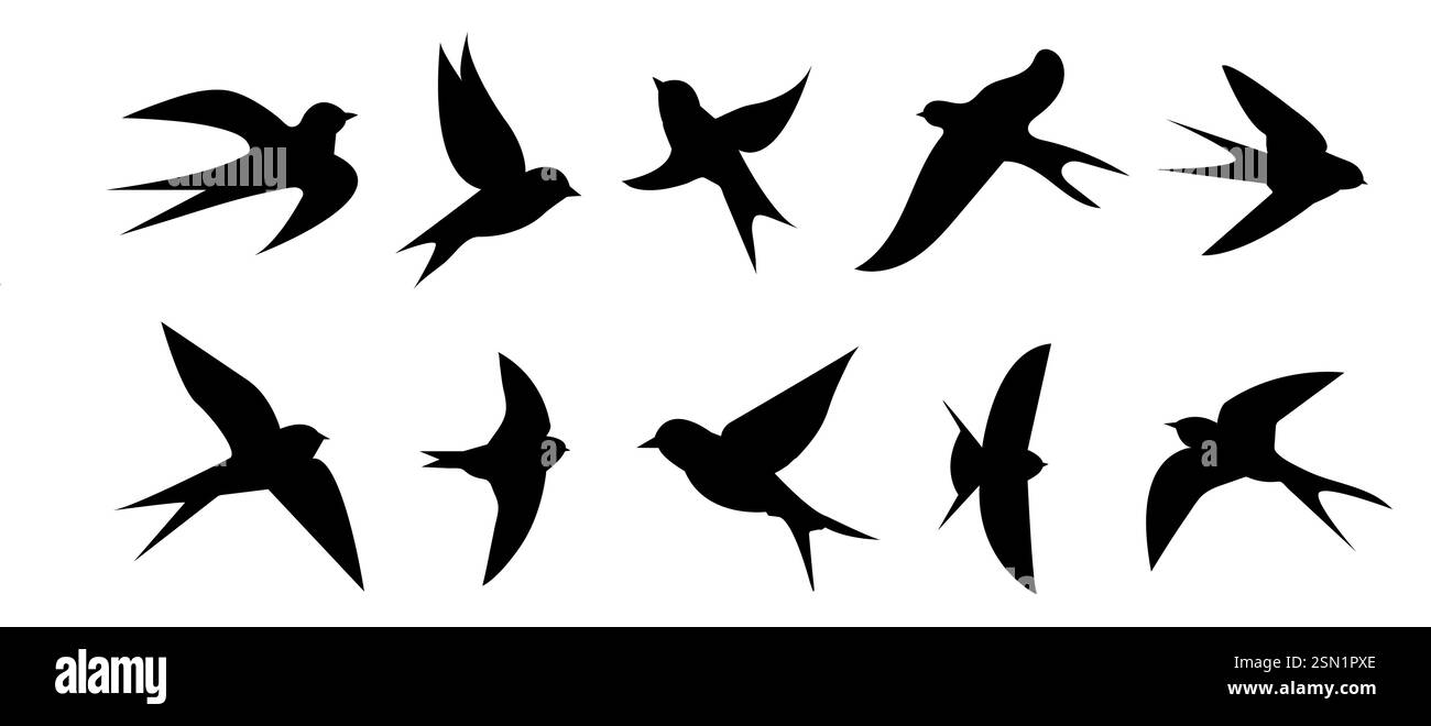Swallow bird silhouettes vector illustration set Stock Vector Image ...