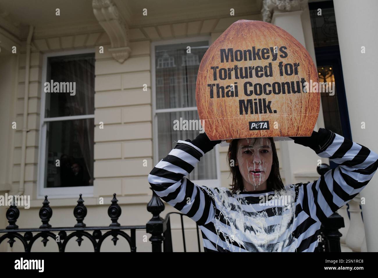 RECORD DATE NOT STATED PETA Monkey Protest in London Activists from ...