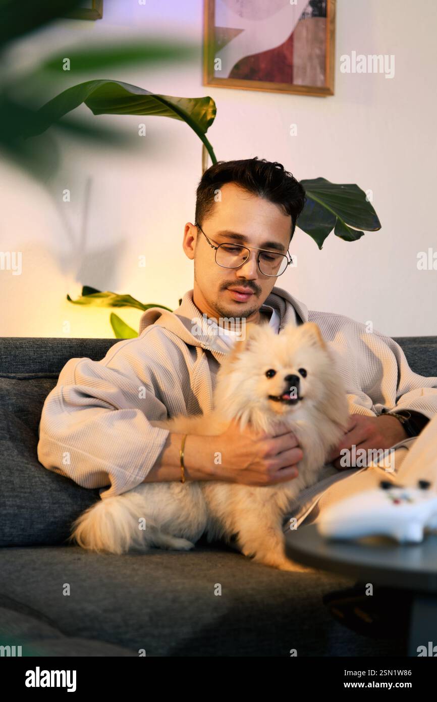 A closeup photo of a male Pomeranian dog sitting with its owner on a ...