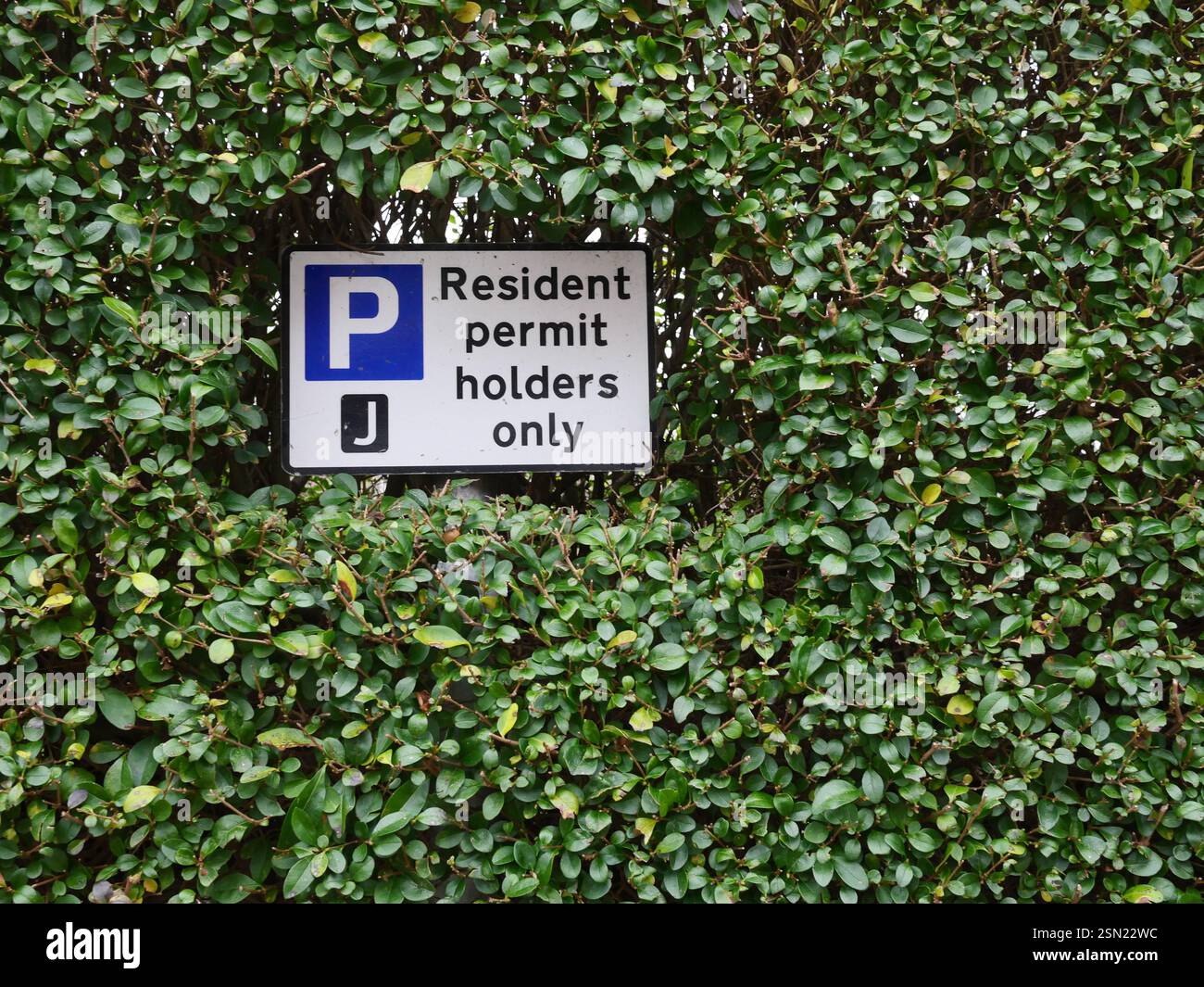 resident permit holder parking sign in a hedge on a residential ...