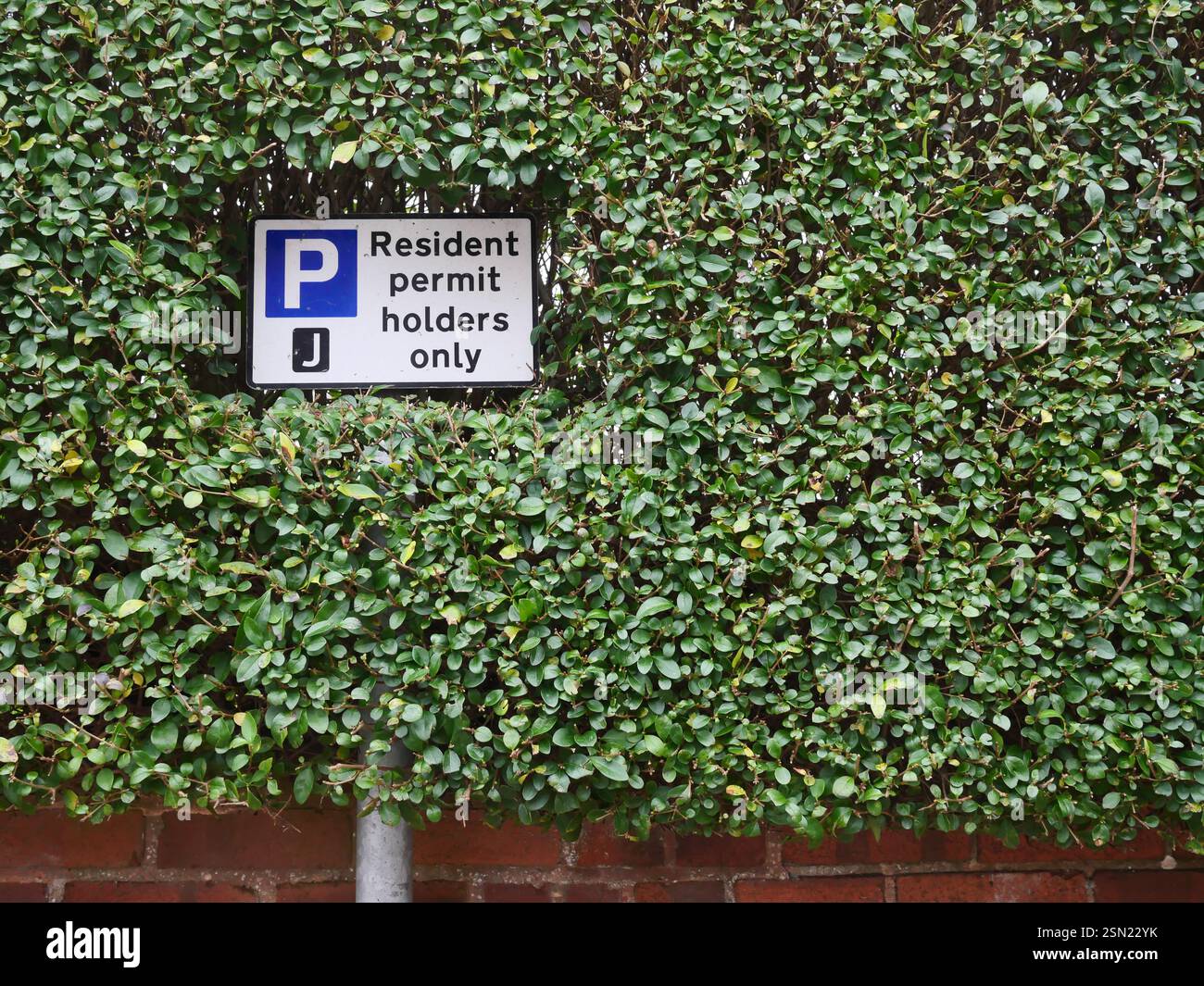 resident permit holder parking sign in a hedge on a residential ...