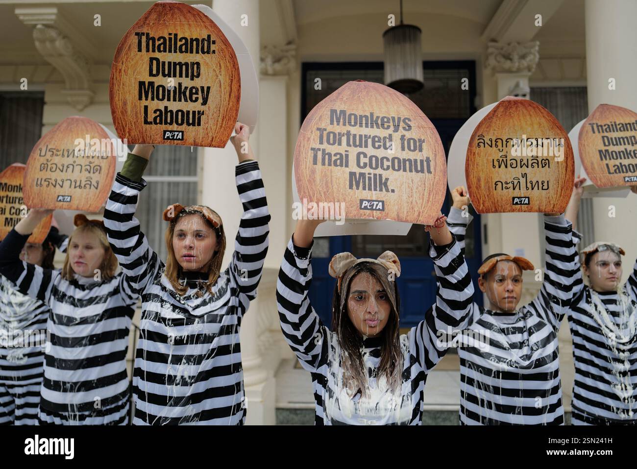 Activists from PETA stage a dramatic protest outside the Royal Thai ...