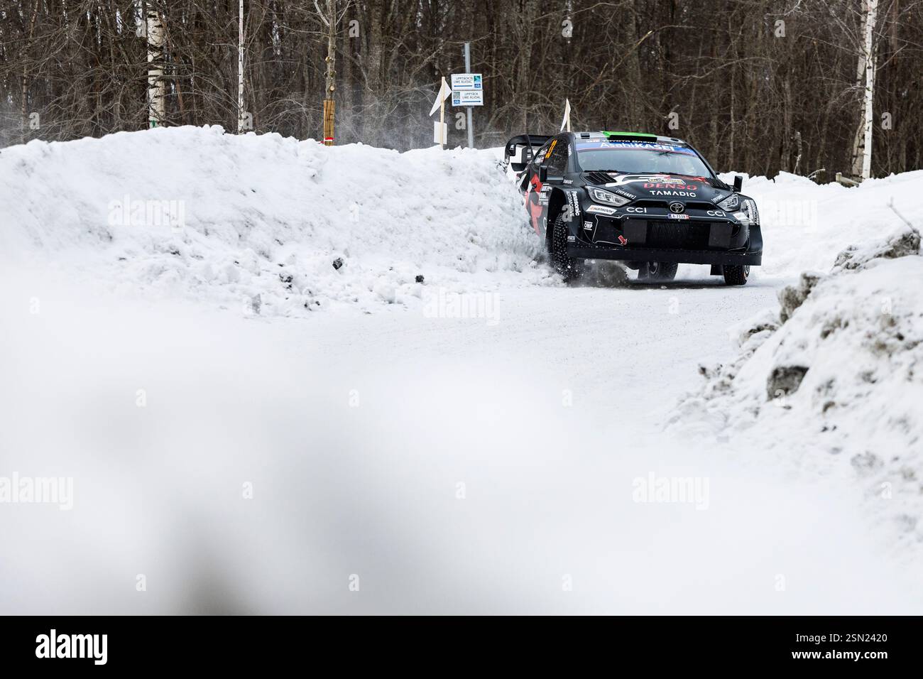 33 Elfyn EVANS, Scott MARTIN, Toyota GR Yaris Rally1, action during the ...