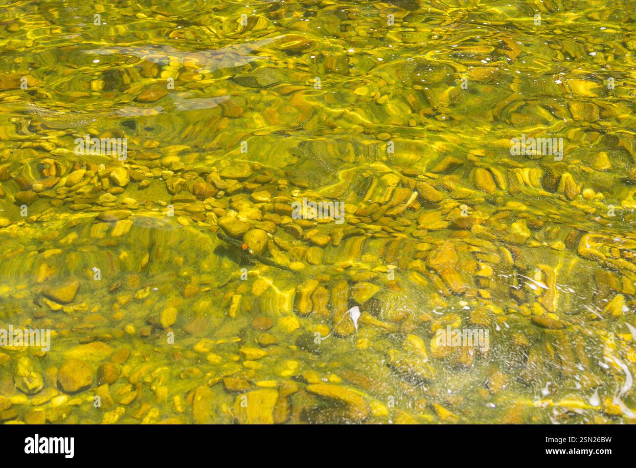 Clean water flowing over yellow rocks in a river, creating a beautiful ...