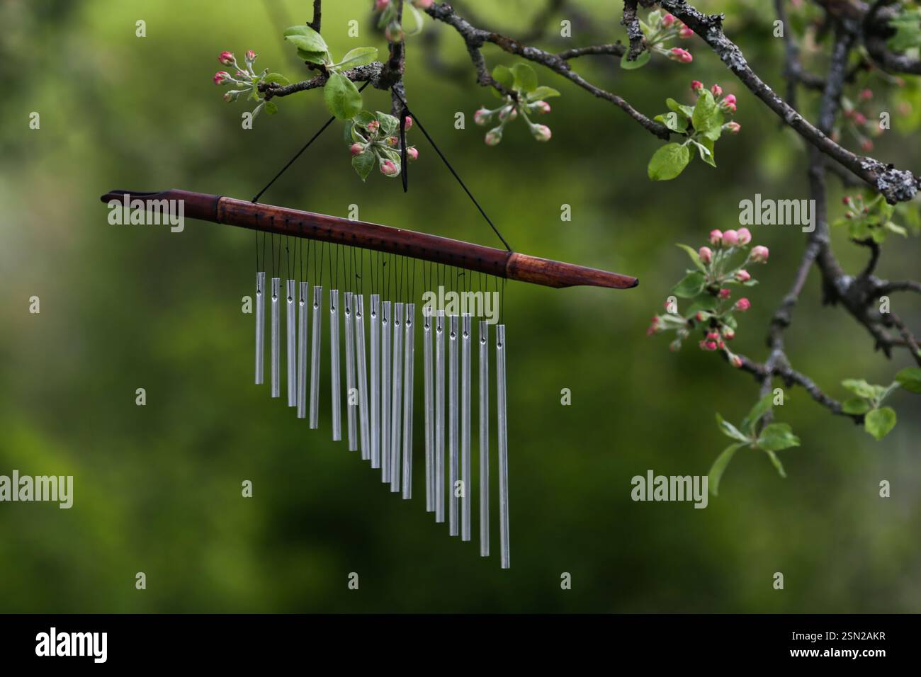 Wind chime in a garden hanging from a branch Stock Photo - Alamy